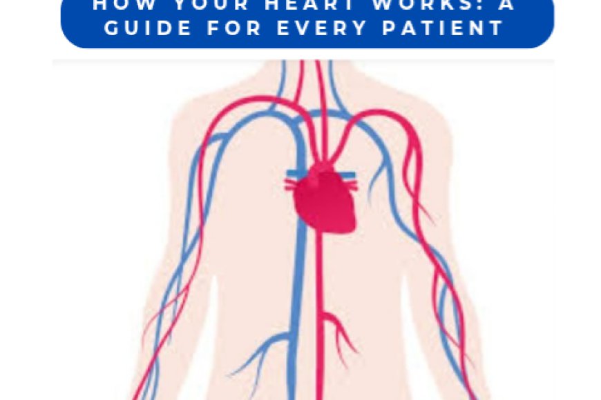 How Your Heart Works: A Guide for Every Patient - Education by Dr ...